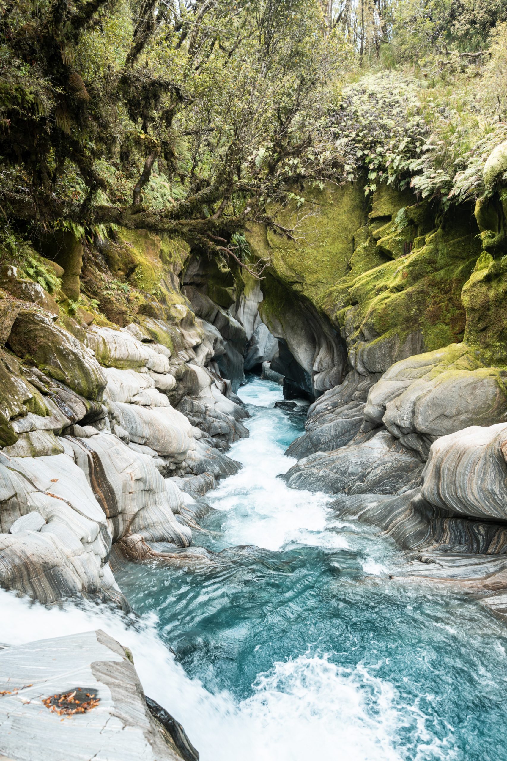 Whirling Water Canyon, West Coast of New Zealand